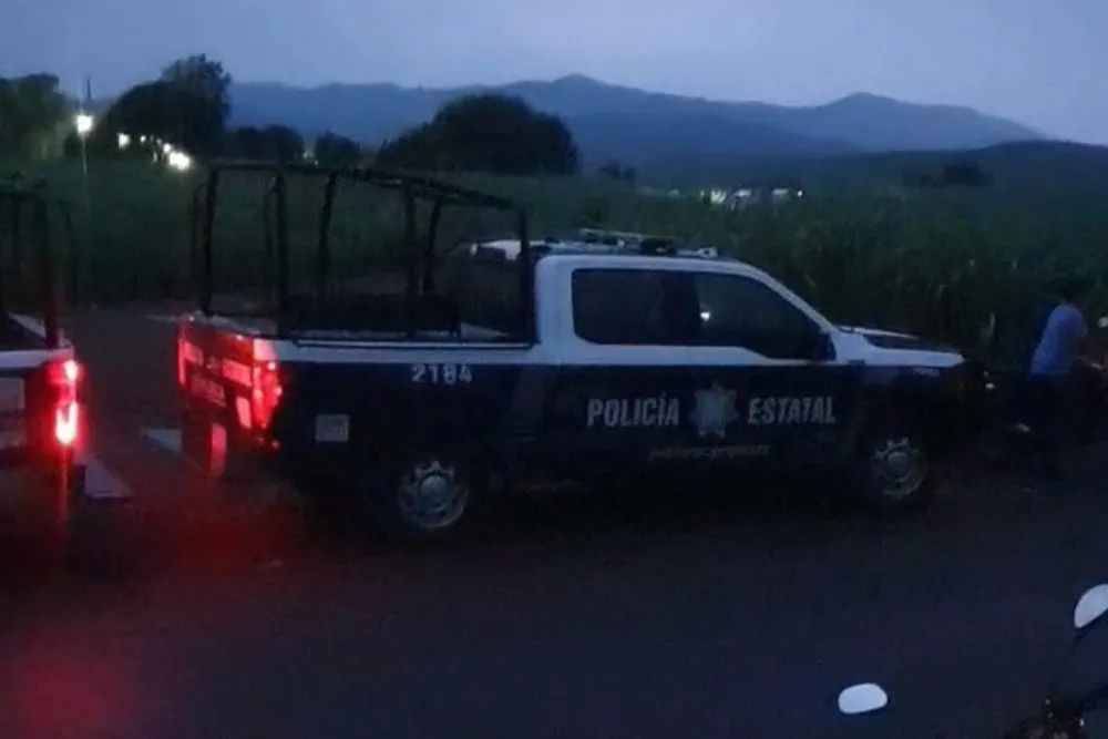 Hallan a dos hombres ejecutados con el tiro de gracia en sembradío de ...
